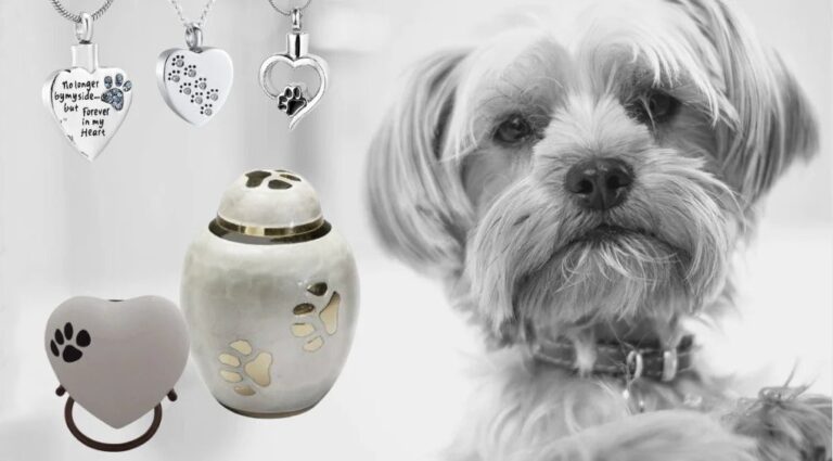 Urns - My Angel Cremation Jewellery & Urns Cremation or Keepsake ...